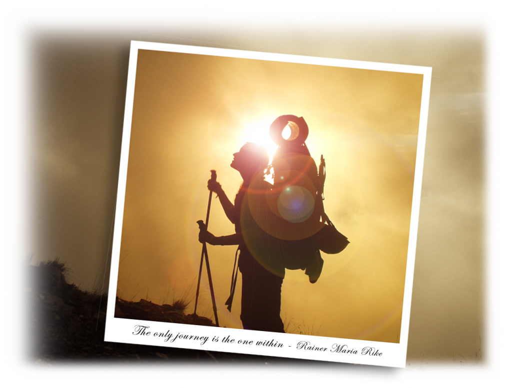 About NLD – NLD Blog